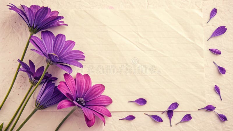 Feminine Background Aesthetic with Paper Texture Stock Image - Image of ...