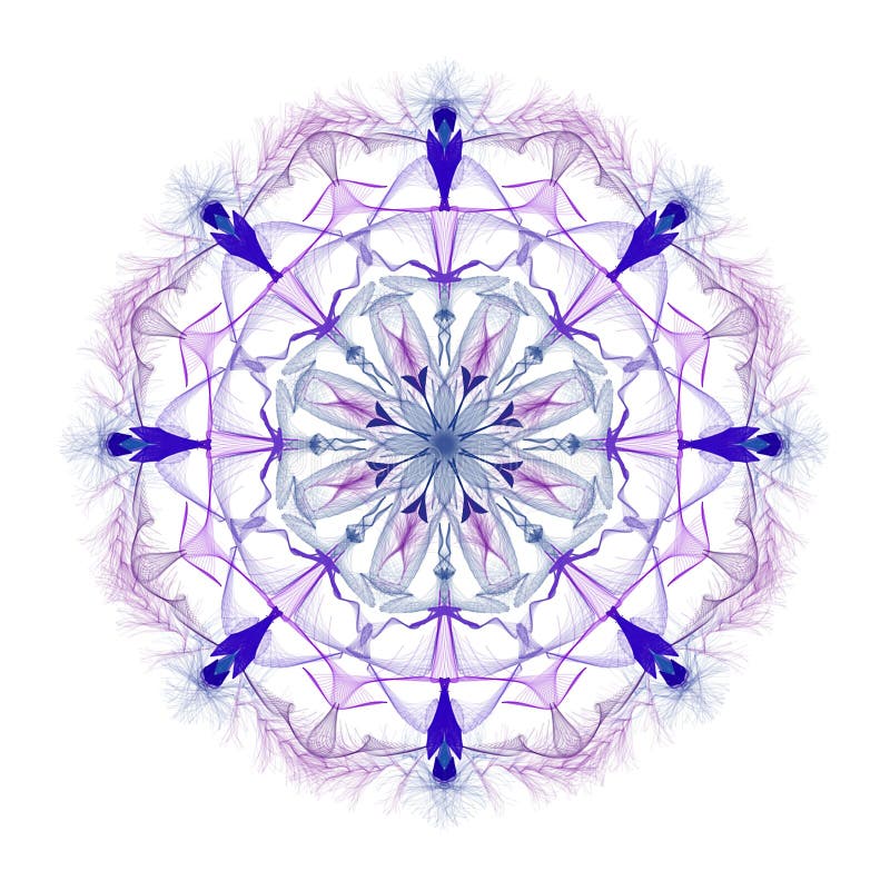 Graceful Geometric Circular Pattern Stock Illustrations – 117 Graceful ...