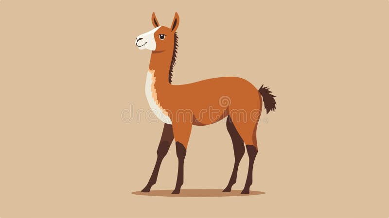 Graceful Llama Standing on Hind Legs in Simple Flat Vector Style Stock ...