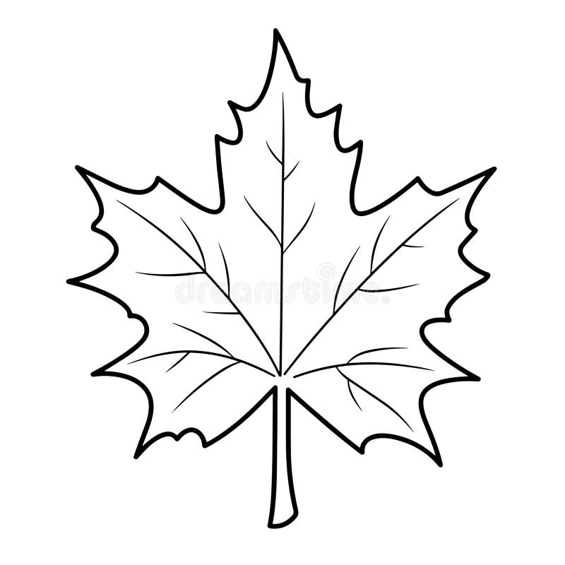Graceful Maple Leaf Outline Icon In Vector Format For Autumn Designs Stock Vector Illustration