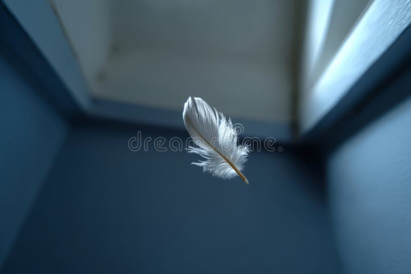 Graceful White Feather Floating in a Calm Blue Space with Soft Natural ...