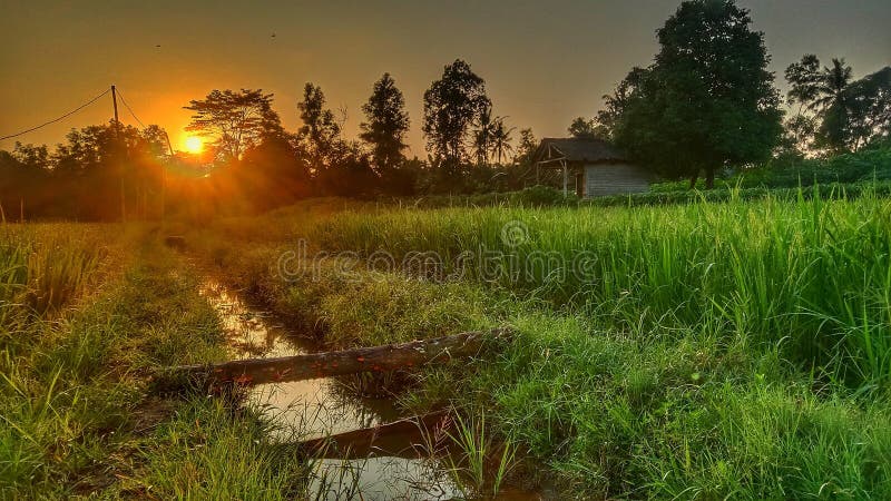 The Gradations Formed by Nature Create Very Beautiful Works Stock Photo ...