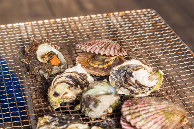 Ostra viva catched do mar imagem de stock. Imagem de coma - 80963549