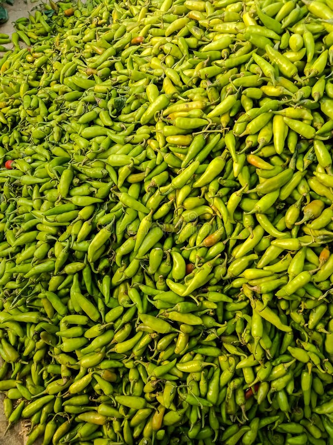 A Grade Fresh Green Chilli, for Cooking with Selective Focus on Subject ...