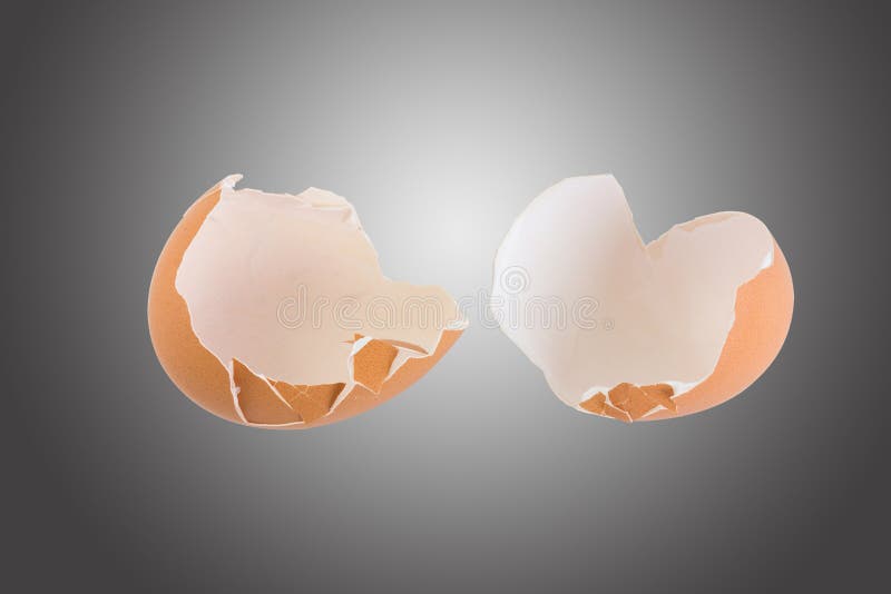 Egg shell stock photo. Image of macro, isolated, life - 30083984