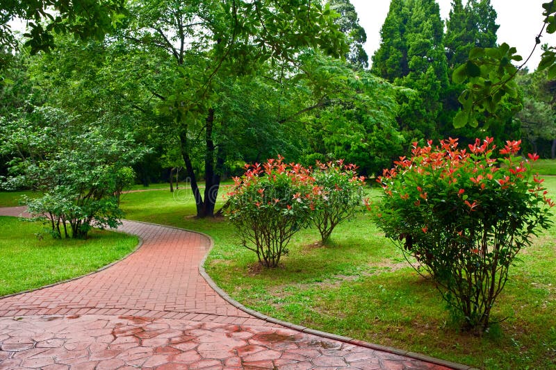 Graden stock image. Image of tree, park, blossom, nature - 31116025