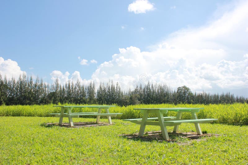 Graden in the wonderland stock image. Image of nature - 92947925