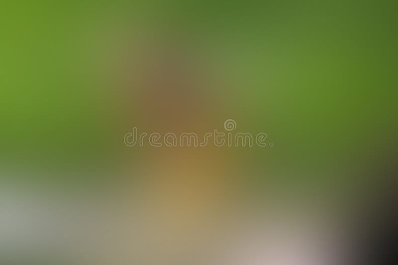 Gradient Abstract Background Green, Grass, Meadow, Lawn, with Copy ...