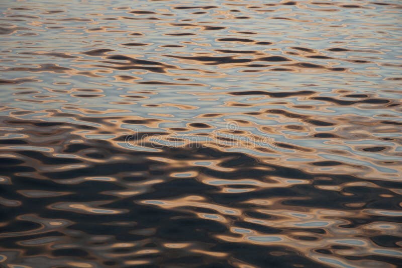 Deep Fake Honey Rose Stock Photos - Free & Royalty-Free Stock Photos ...