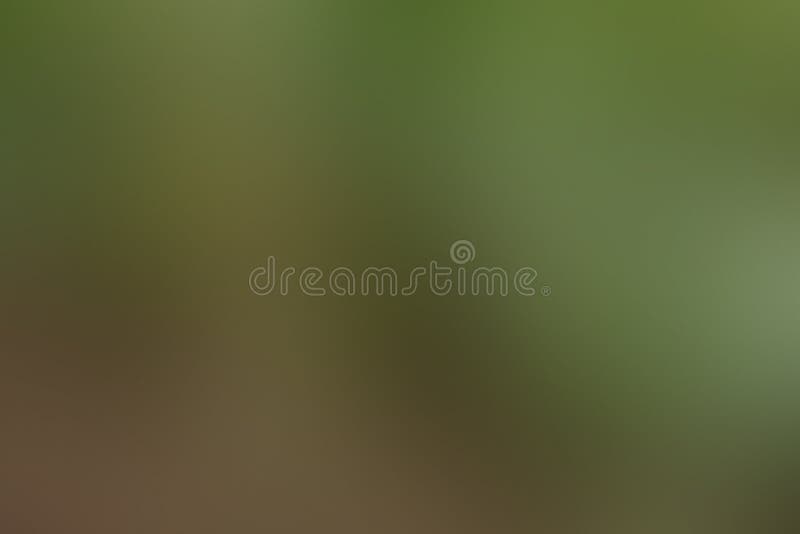 Gradient Abstract Background Green, Grass, Meadow, Lawn, Field ...
