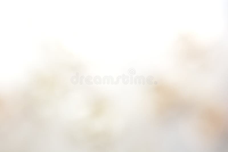 Gradient Beige Background for Wallpapers and Graphic Designs, Blurred ...