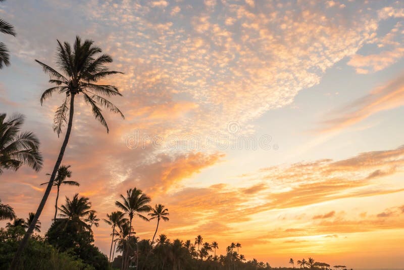 Gradient Blur Overlay Orange Sky Evening Sunset Sunrise Pastel Soft ...