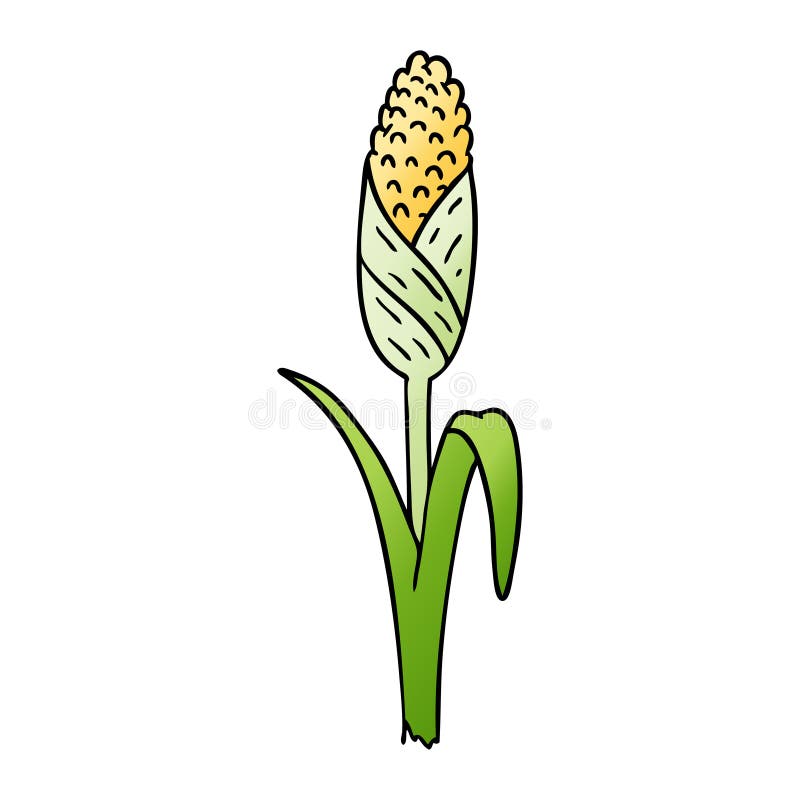 Gradient Cartoon Doodle of Fresh Corn on the Cob Stock Vector ...