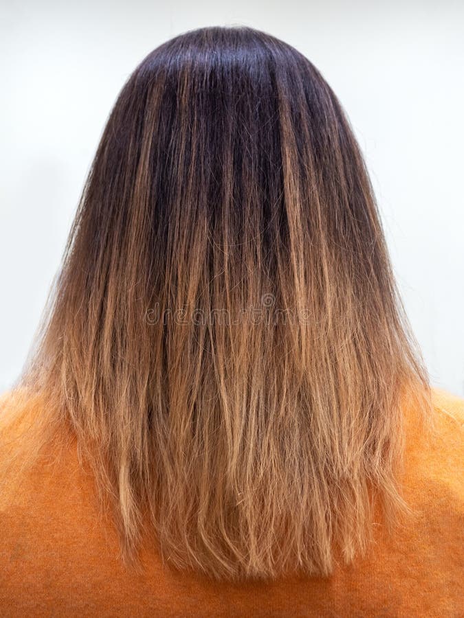Gradient Color on the Hair. Colored Staining of the Hair Stock Image ...