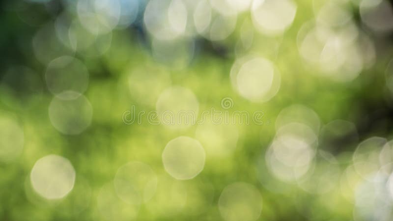 Gradient Nature Background with Blurred Green Leaves Gives a Calm and ...