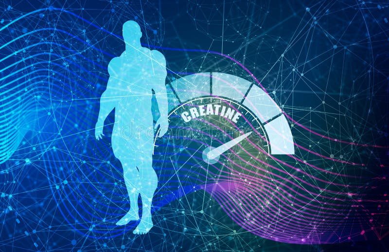 Creatine Level Stock Illustrations – 13 Creatine Level Stock ...