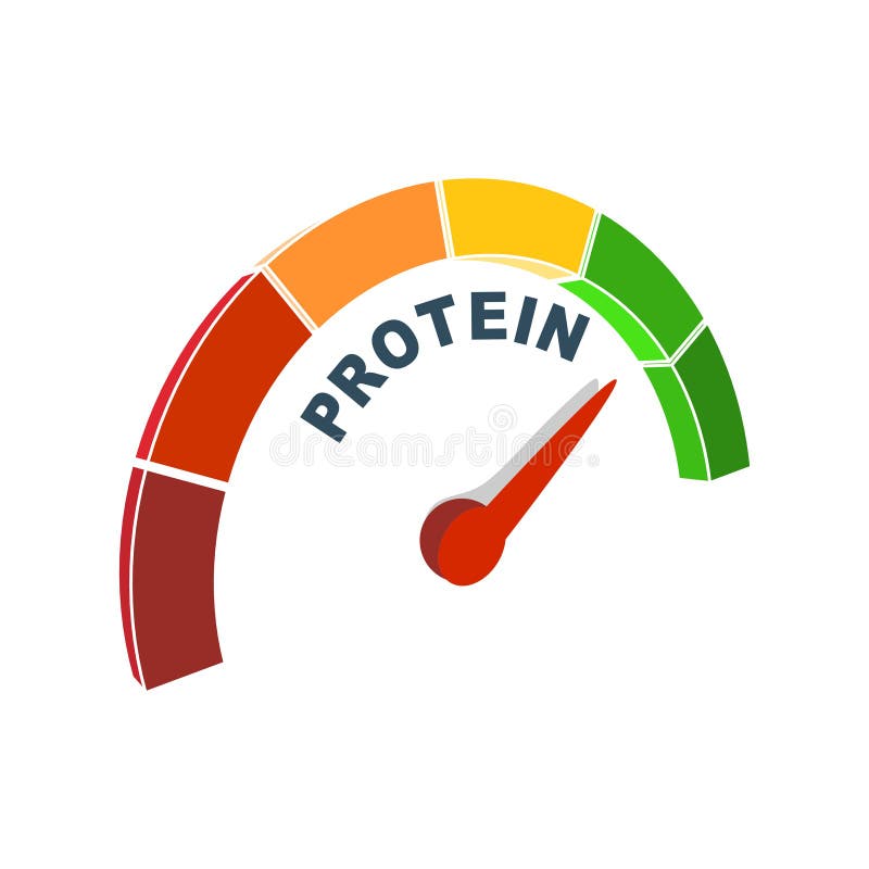 Protein Level Scale. Concept of Sport Nutrition Stock Vector ...