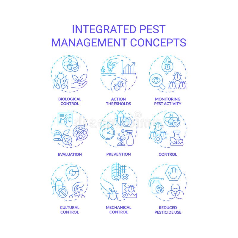 Integrated Pest Management Isolated Cartoon Vector Illustrations. Stock ...