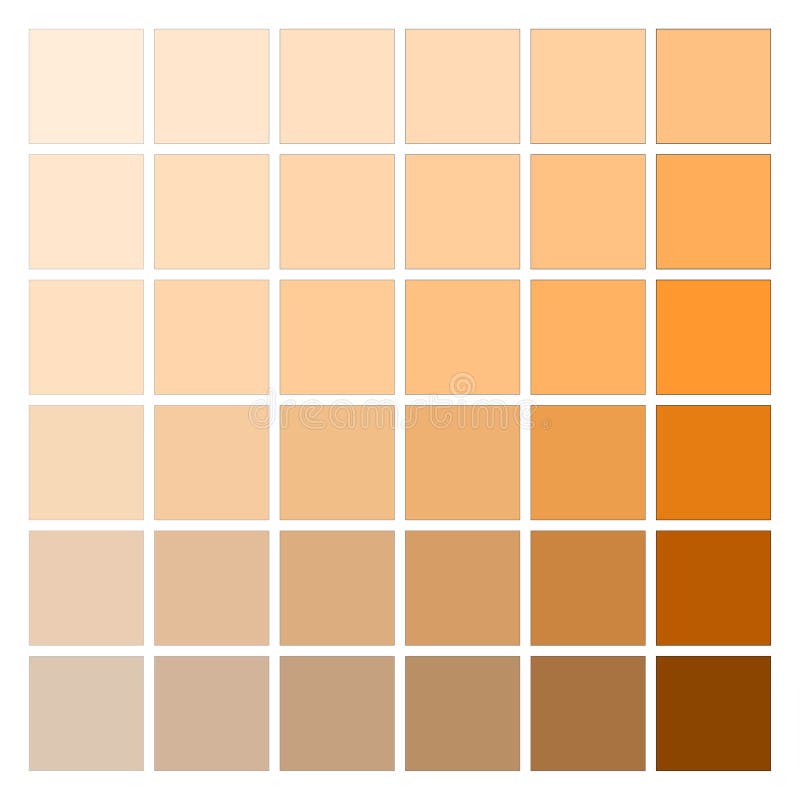 Gradient Shades Of Brown Color Palette Vector Illustration Eps 10 Stock Vector Illustration
