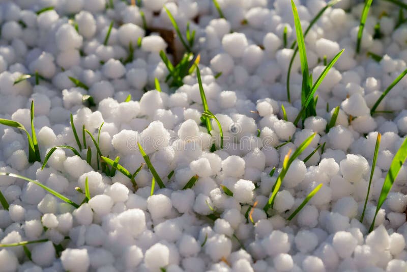 Gradobicie zdjęcie stock. Obraz złożonej z tła, roślina - 63779782