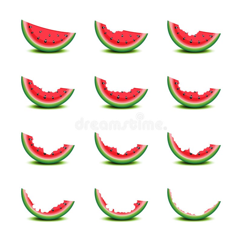 Gradually Eating Of Watermelon Slice Royalty Free Stock Photo - Image ...