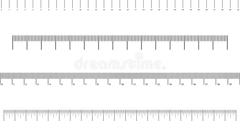 Graduated Ruler Vector Illustration on a White Background. Inch and ...