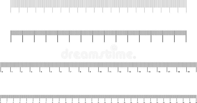Graduated Ruler Vector Illustration on a White Background. Inch and ...