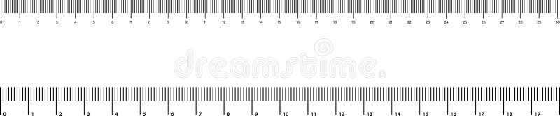 Graduated Ruler Vector Illustration on a White Background. Inch and ...