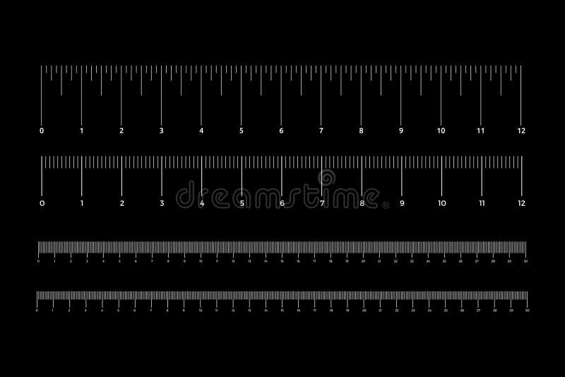 Graduated Ruler Vector Illustration on a White Background. Inch and ...