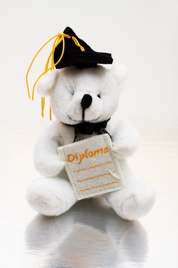 Graduating Bear stock photo. Image of grad, shiny, bear - 10627074