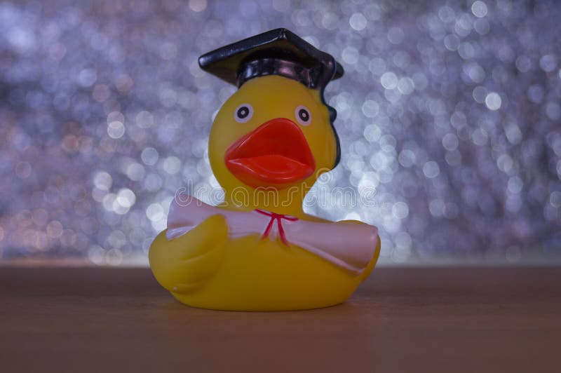 Graduating rubber duck stock image. Image of yellow, duck - 67782807