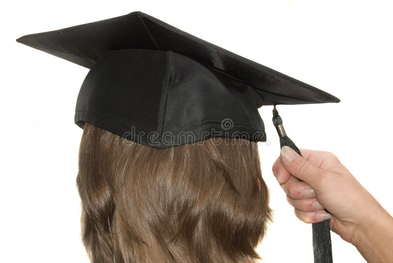 Cute Eminent Graduation Havanese Dog Wit Blue Cap Stock Photo - Image ...