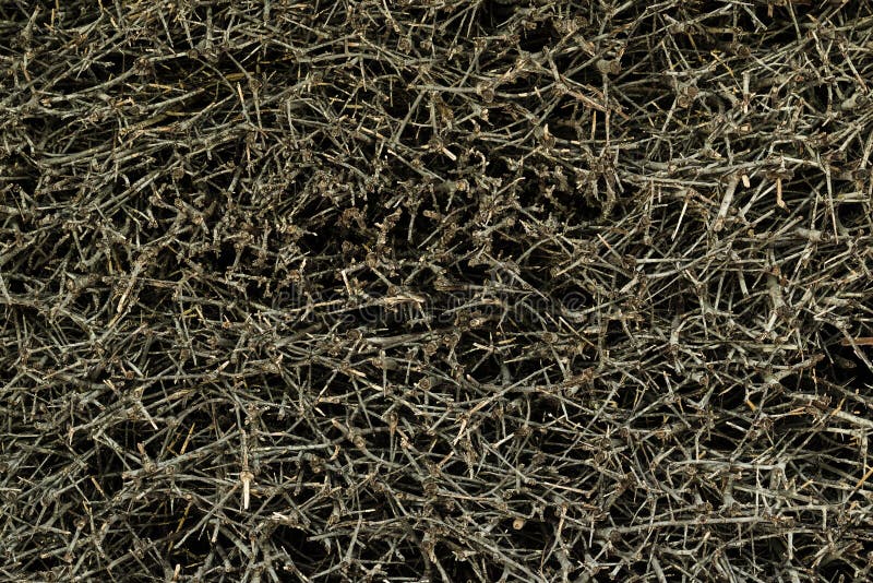 GRADUATION TOWER stock photo. Image of treatment, macro - 381582708