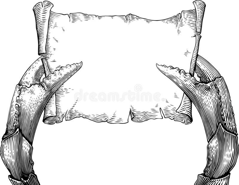 Graffia la pergamena illustrazione vettoriale. Illustrazione di oceano ...