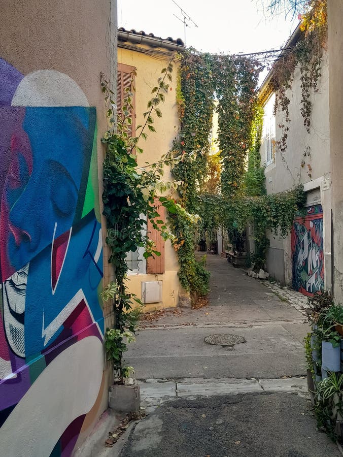 Graffiti with Colorful Face in a Plant Alley Stock Photo - Image of ...