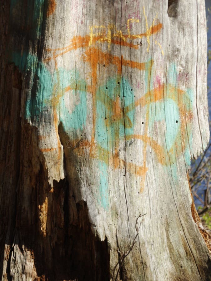 Colorful Graffiti on Old Tree Art in Nature Stock Photo - Image of branch, colors: 377563834
