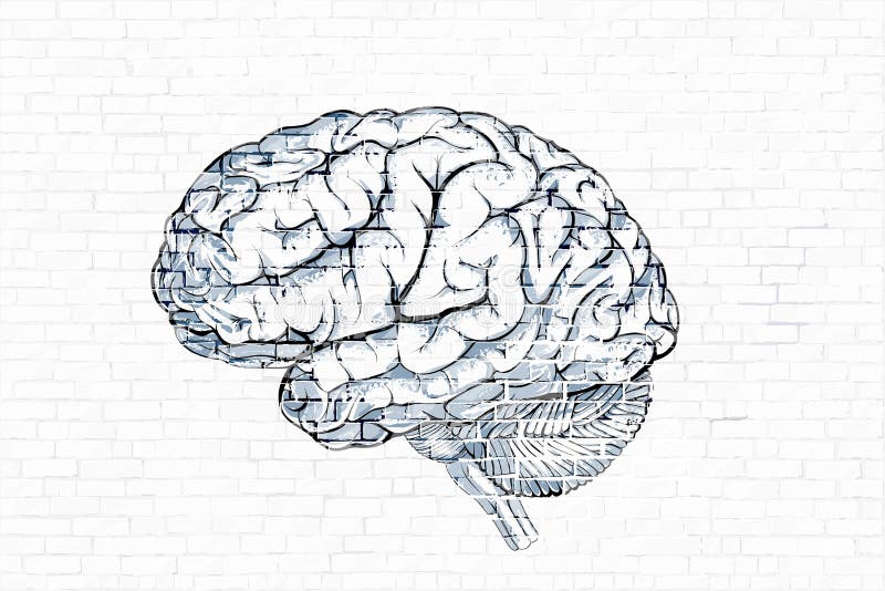 Graffiti of a Human Brain on a White Brick Wall Stock Vector ...
