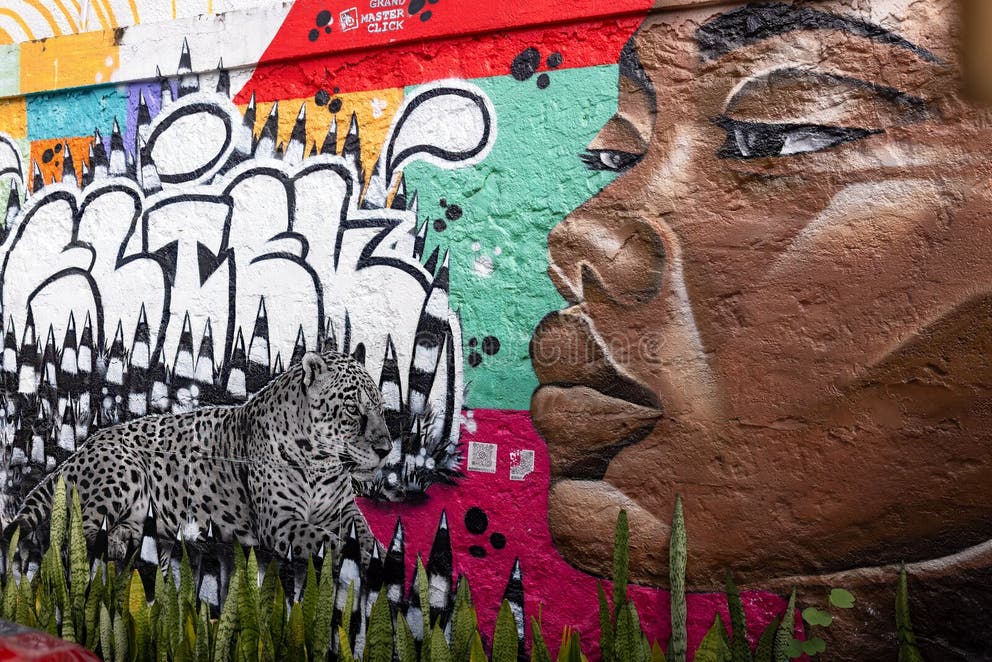 Graffiti in rio de janeiro editorial photo. Image of lapa - 386393776