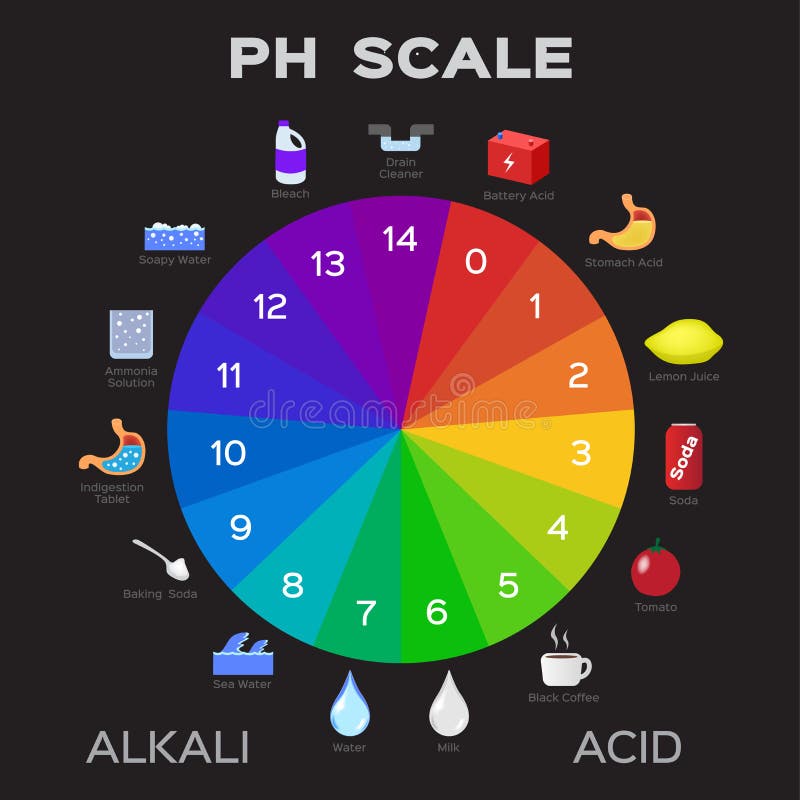 Grafico Della Scala Di PH Acido Da Basare Illustrazione Vettoriale ...