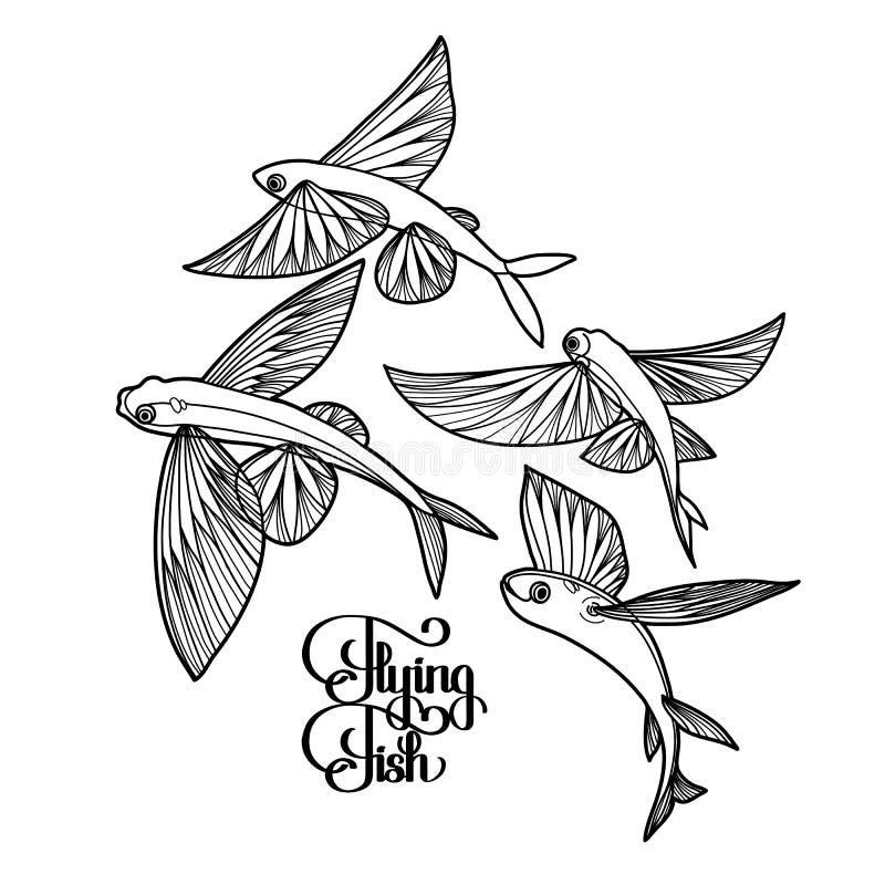 Grafische Collectie Vliegende Vissen Vector Illustratie - Illustration ...