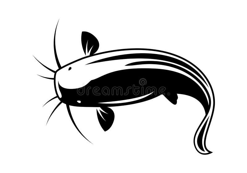 Grafische katvis, vector vector illustratie. Illustration of zwart ...
