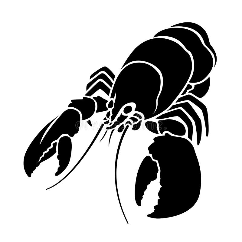 Grafischer Hummer, Vektor vektor abbildung. Illustration von meer ...