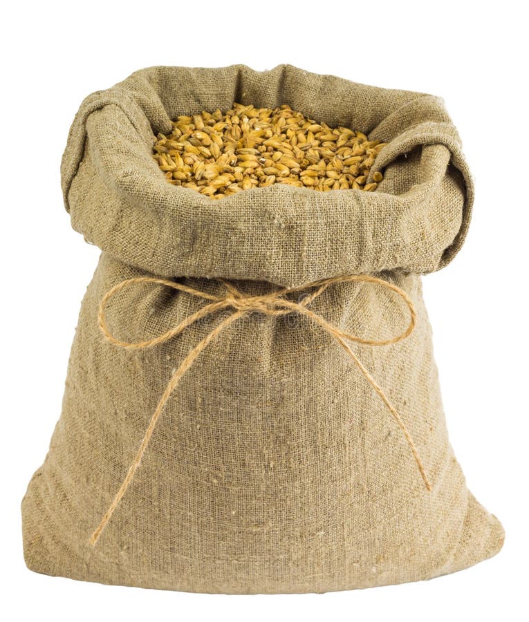 A bag of barley stock photo. Image of knotted, ripe, white - 69828830