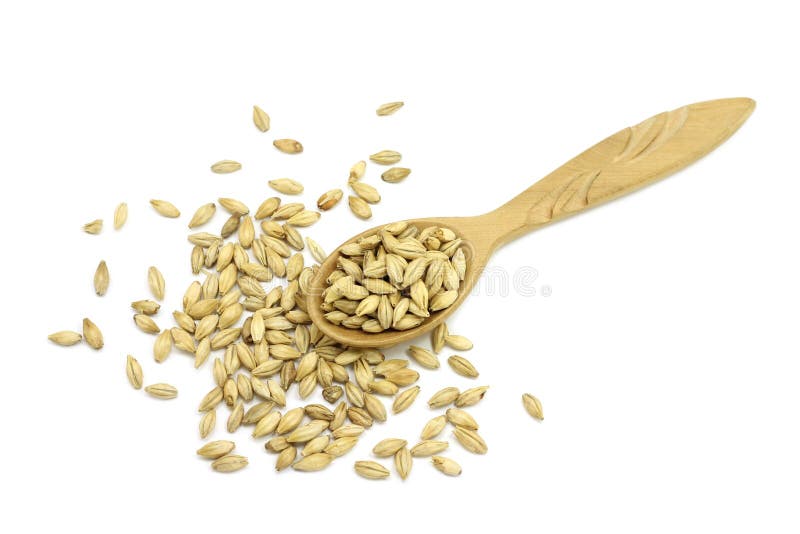 475 Malt Grain Spoon Stock Photos - Free & Royalty-Free Stock Photos ...