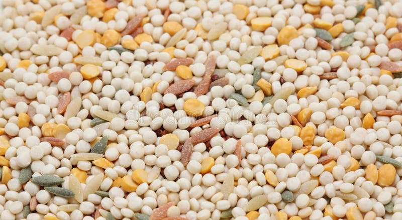 Grain blend stock photo. Image of organic, meal, nutrition - 9801070