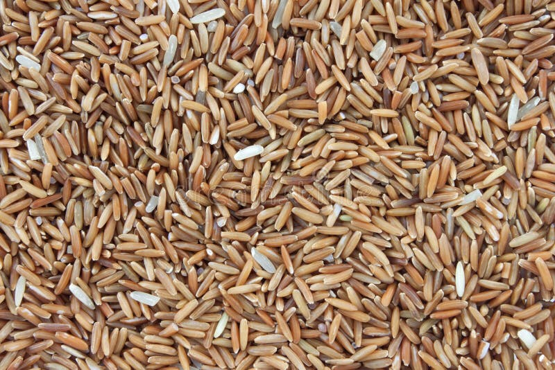 Grain Brown Rice Texture Background Stock Image - Image of healthy ...