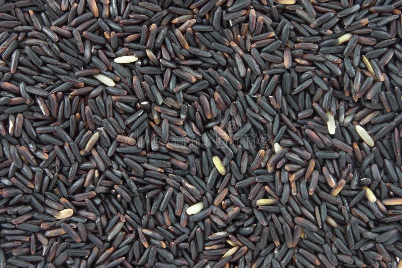 Grain Brown Rice Texture Background Stock Image - Image of texture ...