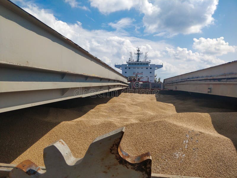 1,330 Bulk Grain Cargo Ship Stock Photos - Free & Royalty-Free Stock ...