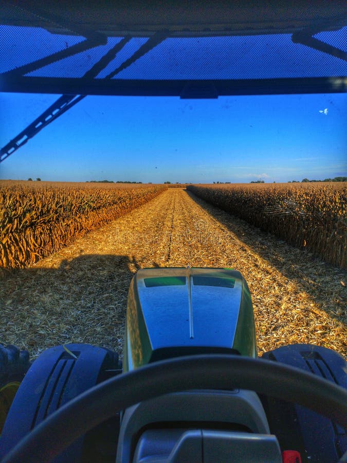 Grain Cart Corn Harvest Day in Illinois Stock Photo - Image of cart ...