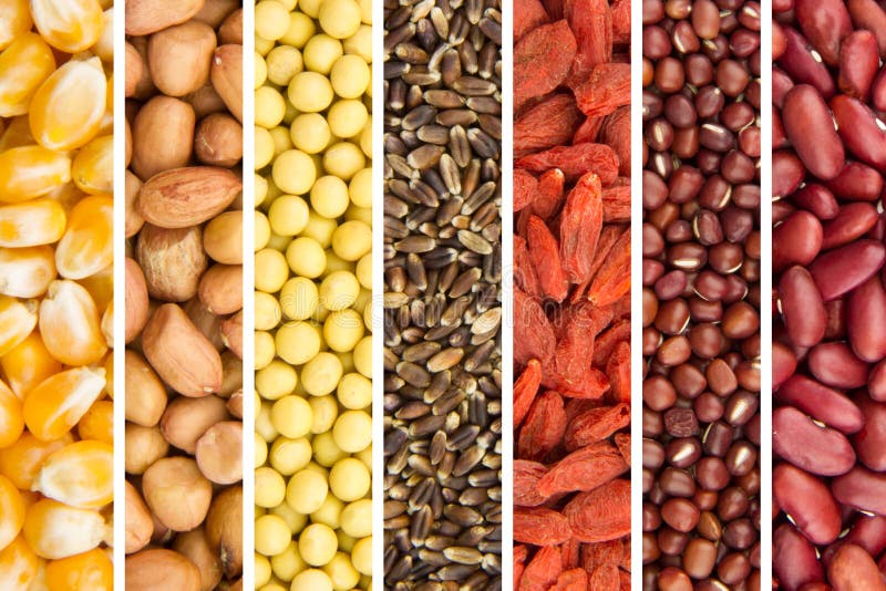 Grains stock photo. Image of collection, maize, beans - 4397172